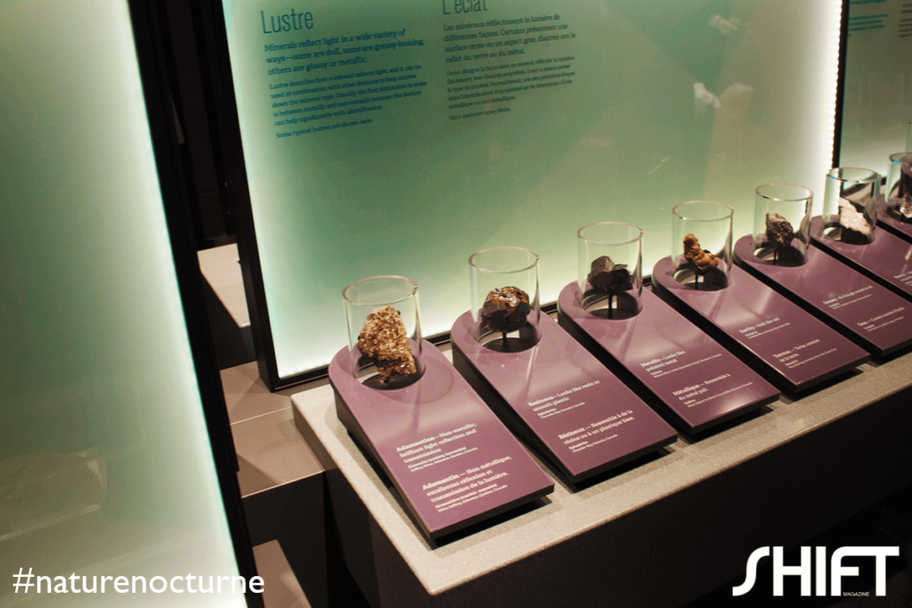 PHOTOS - NATURE NOCTURNE, CANADIAN MUSEUM OF NATURE
